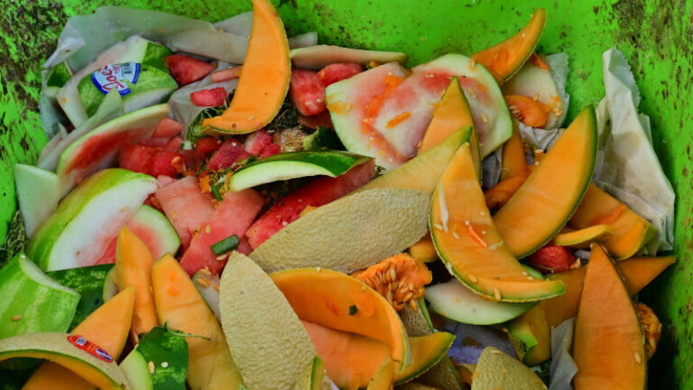 Program Education – My Green Michigan